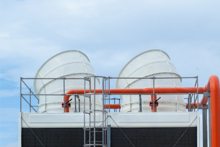 Case Study Archives - Ecolibrium